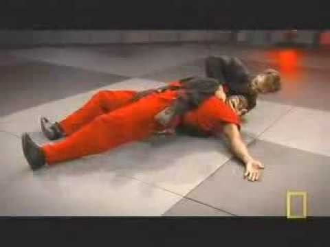 youtube fight science ninjitsu - YouTube