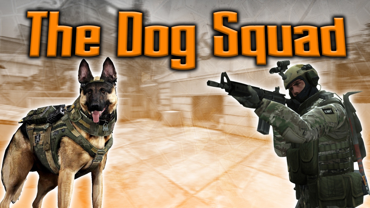 Dogs in CS:GO?! - YouTube
