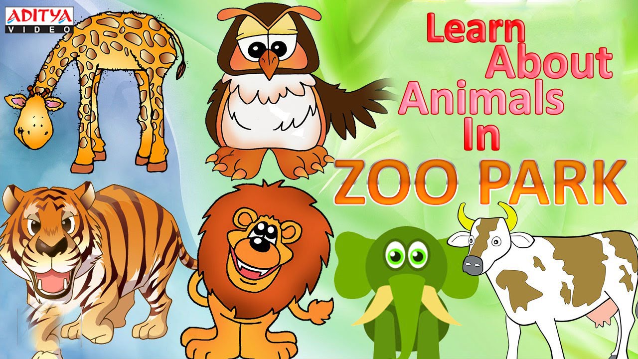 Let's Learn About Animals In Zoo Park - Pre And Play School Kids ...