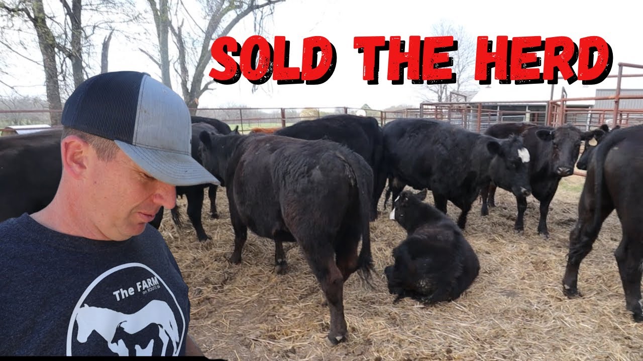 Big Changes On Walker Farm - YouTube