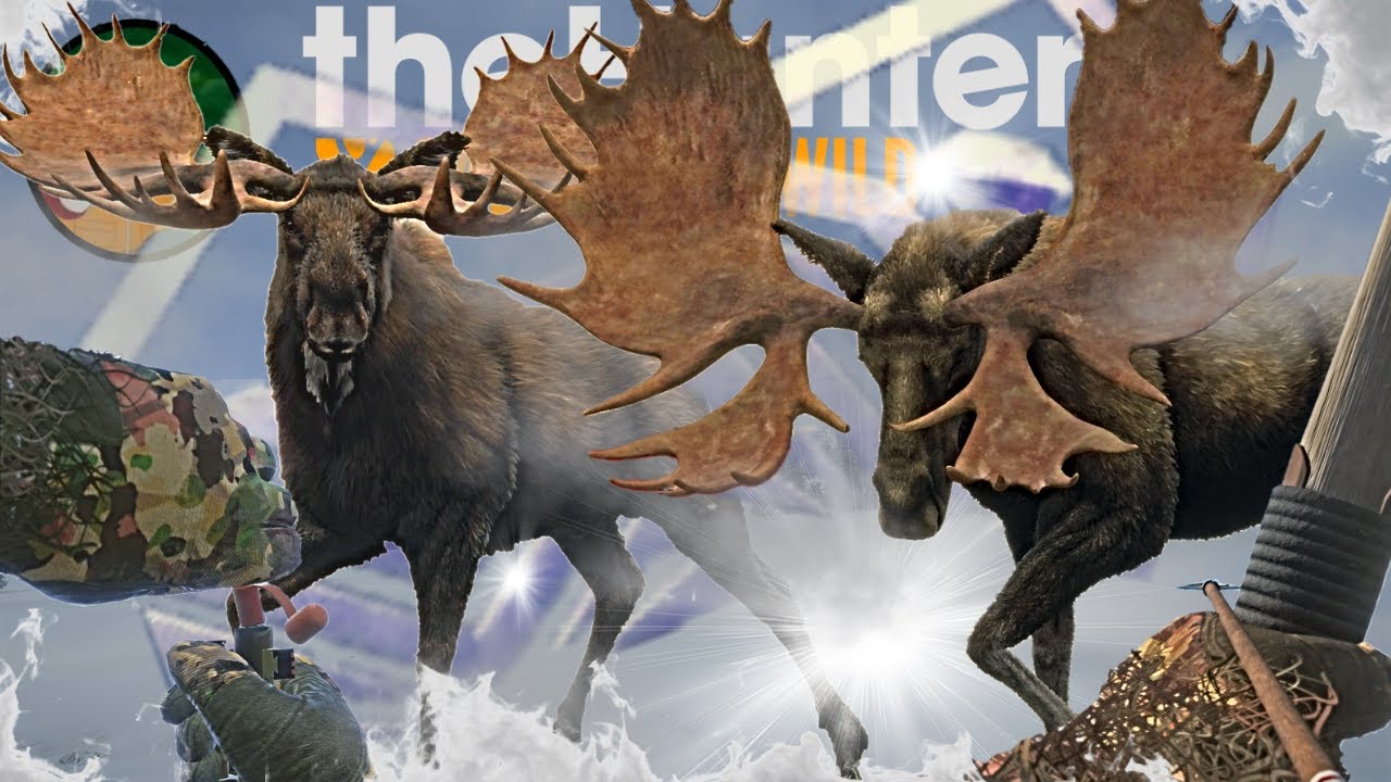Double 300+ Moose within 24 HOURS?!?!?! / TheHunter COTW - YouTube