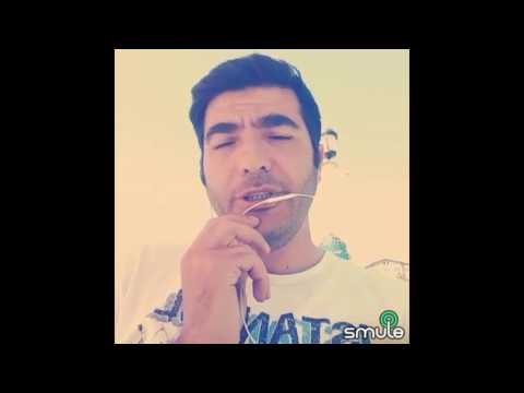 Denge muzık ceylana benzer şiir