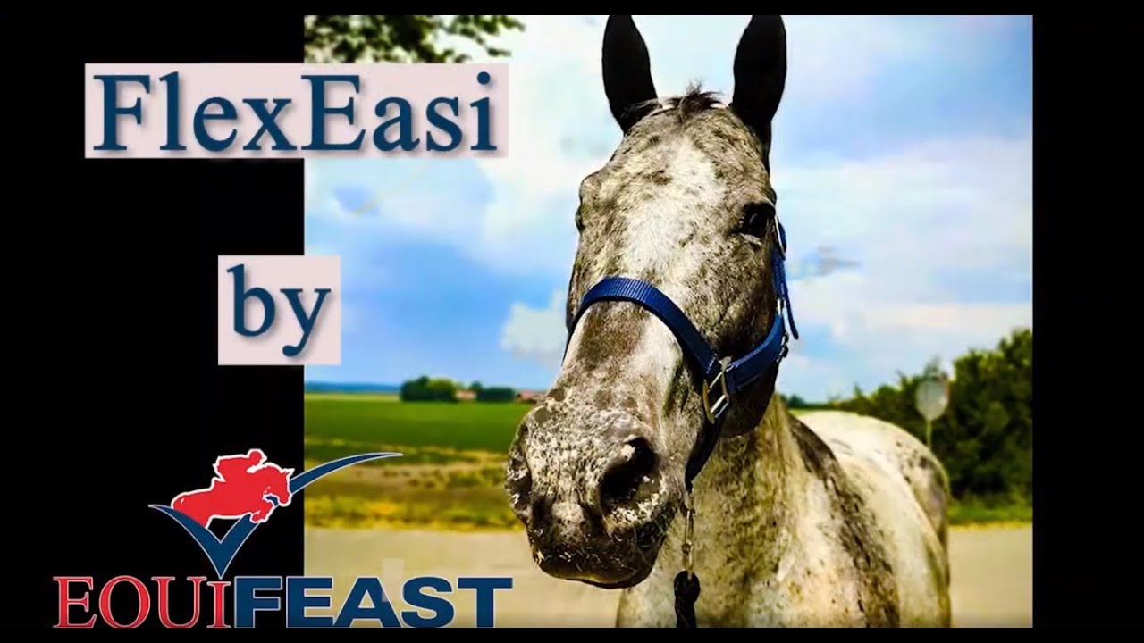 EquiFeast FlexEasi Before & After - YouTube
