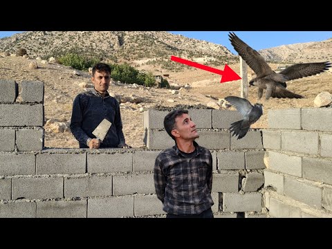 Salman's dream house and sudden falcon hunt!
