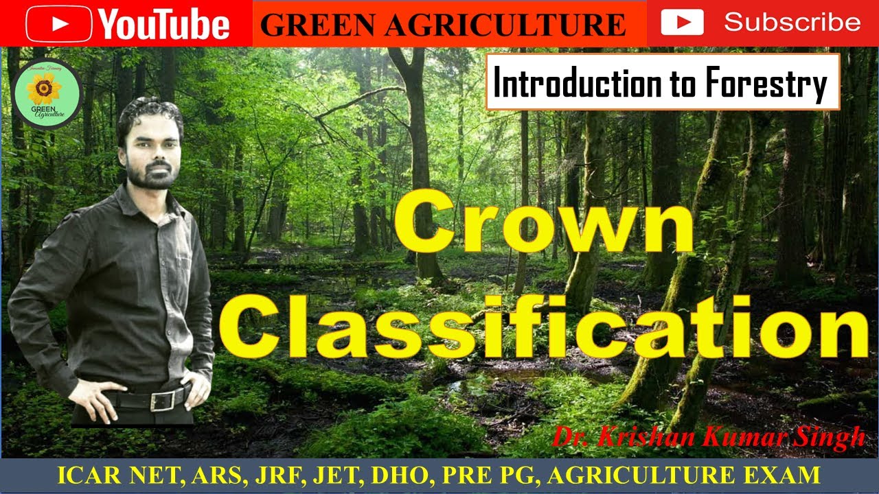 Crown II Classification of crown II - YouTube