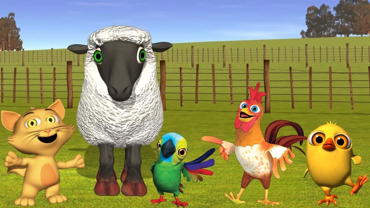 El pollito pio the little chick cheep - Pollito pio pio infantil ...