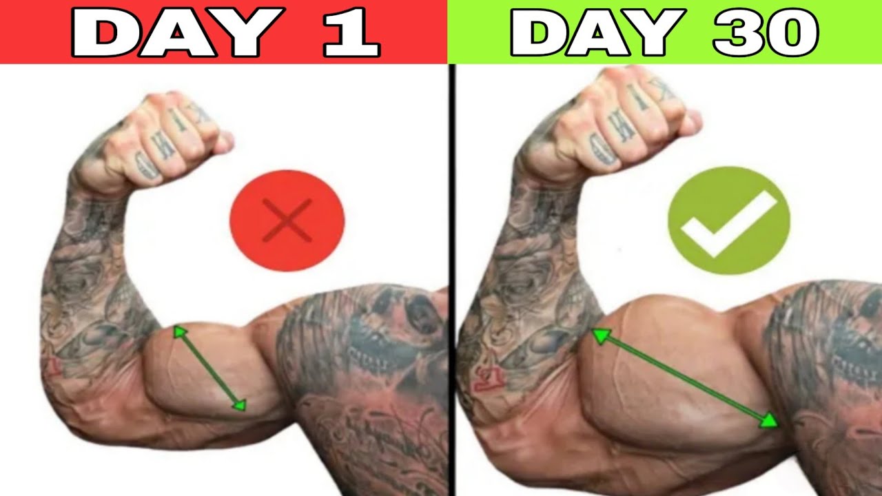 Get Bigger Biceps in 30 days - YouTube