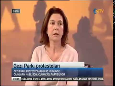 Ayşe Buğra - Gezi Parkı Analizi