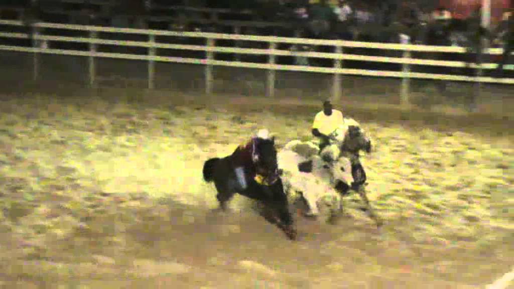 Vaquejada dos Porto 2014 - YouTube