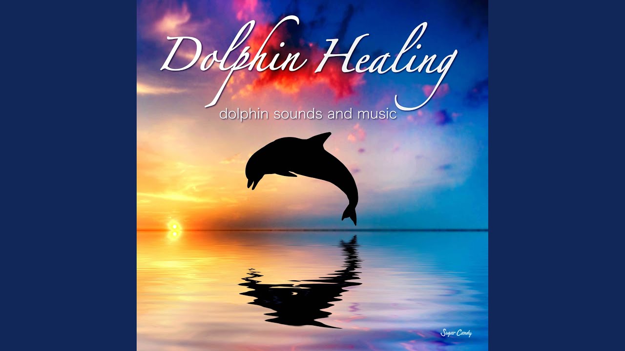 Deep sea bream - YouTube