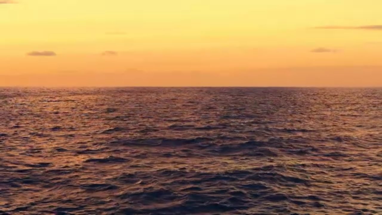 Relaxing Music ️ with Gentle Ocean Sounds🐬, Soothing Waves and Peaceful ...