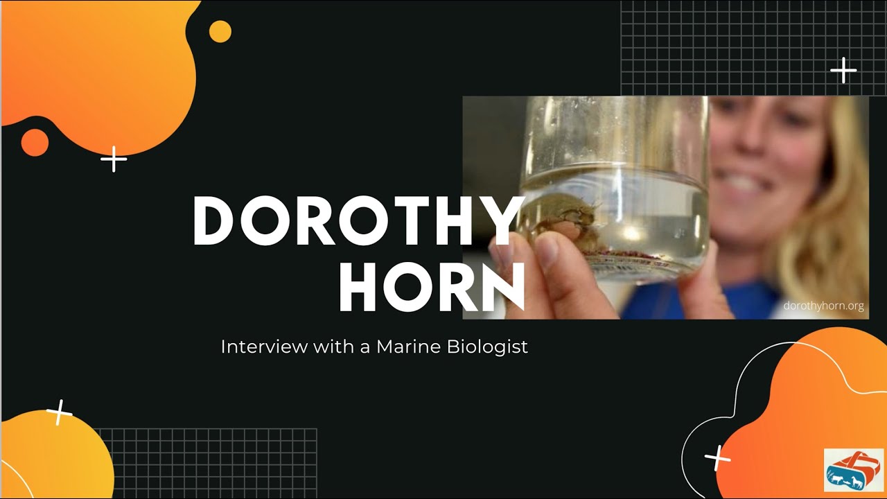 Interview with a Marine Biologist | Ag Teen Science Cafe - YouTube