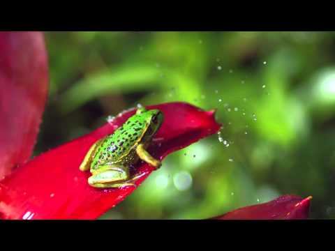 Böyük oglan 28 yawi var oynuyun musicle