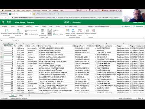 Filtros Automáticos en Excel - YouTube