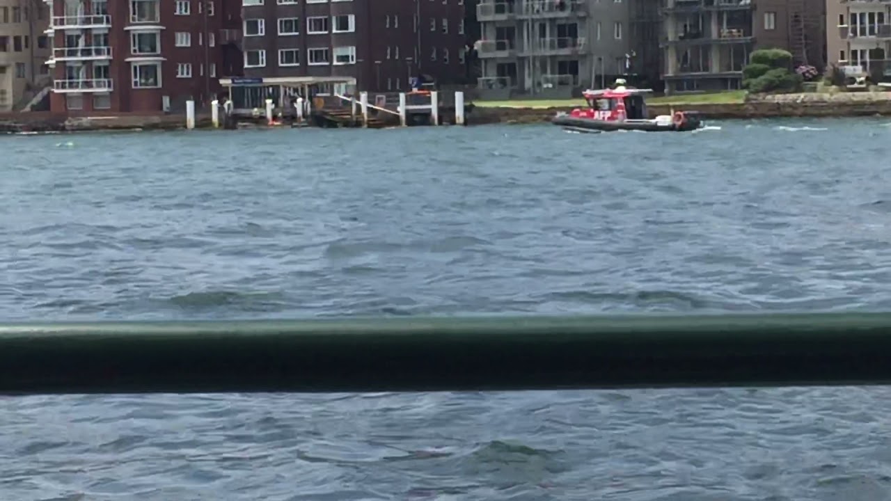 AFP // AFP Boat // - YouTube