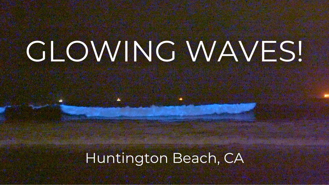 Unreal Bioluminescent Waves at Huntington Beach, CA - YouTube