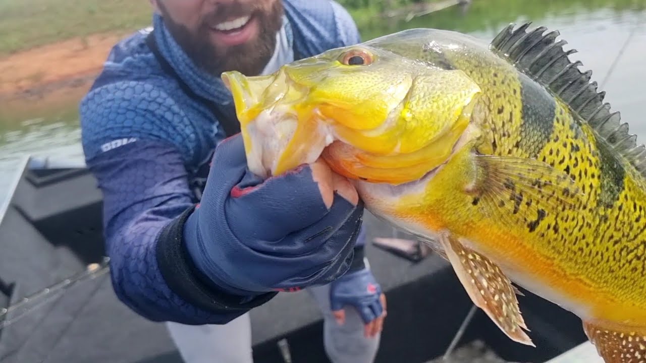 Pescaria em Três Ranchos com muito peixe e dicas - YouTube