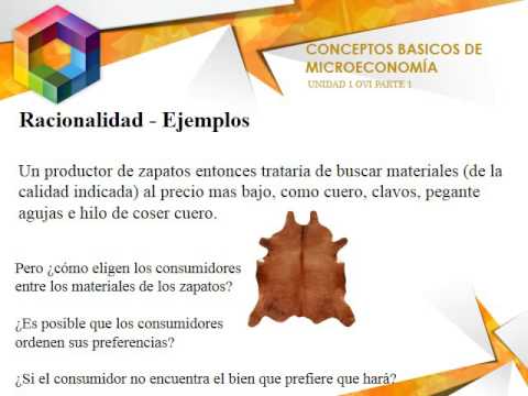 Teoría de la Elección Racional - MICROECONOMIA SOCIAL UNIDAD1 - YouTube