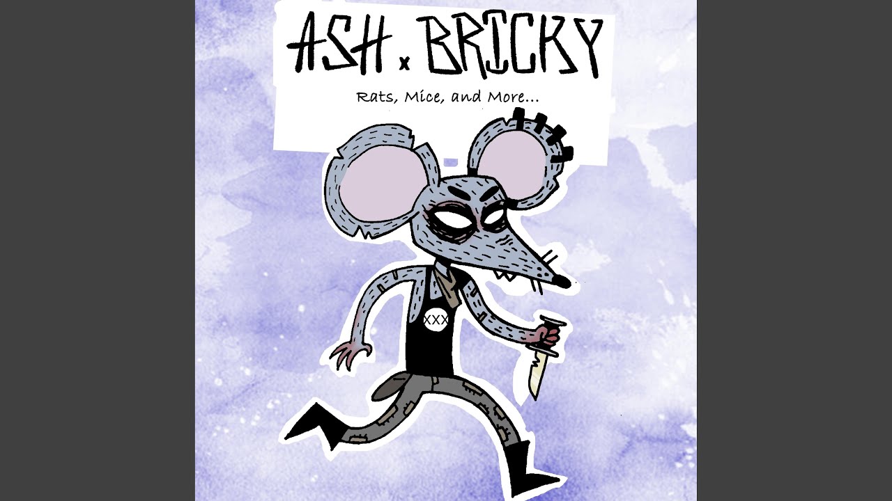 Song About Raccoons (Trash Gods) - YouTube