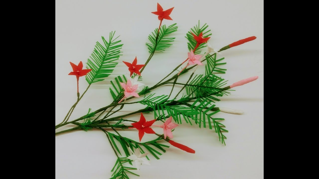 How to make Crepe Paper Flowers Cypress Vine / Ipomoea quamoclit ...