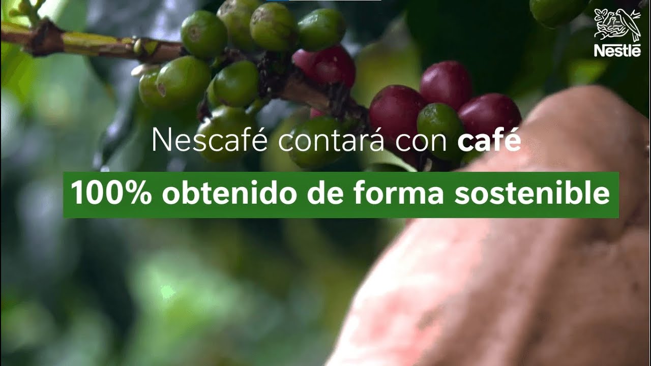 Nescafé Plan 2030 | Nestlé - YouTube