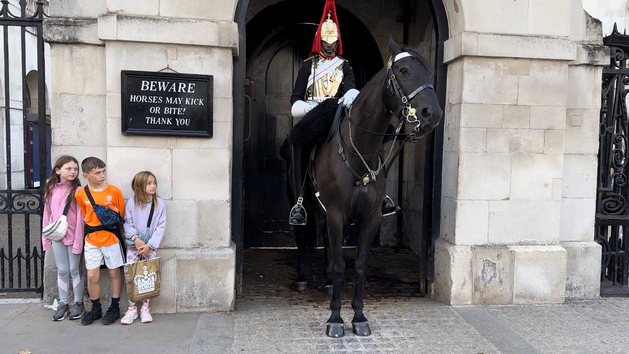 More Tapping By The Horse - YouTube