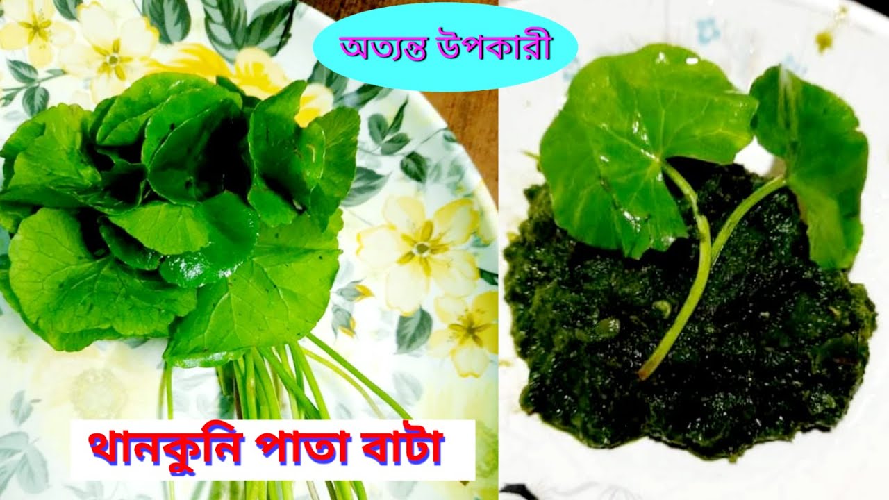 Thankuni Pata Bata Recipe । থানকুনি পাতা বাটা রেসিপি । Natural Healthy ...