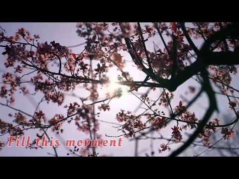 Beautiful Nature Whatsapp Status Video || Nature Status 4k