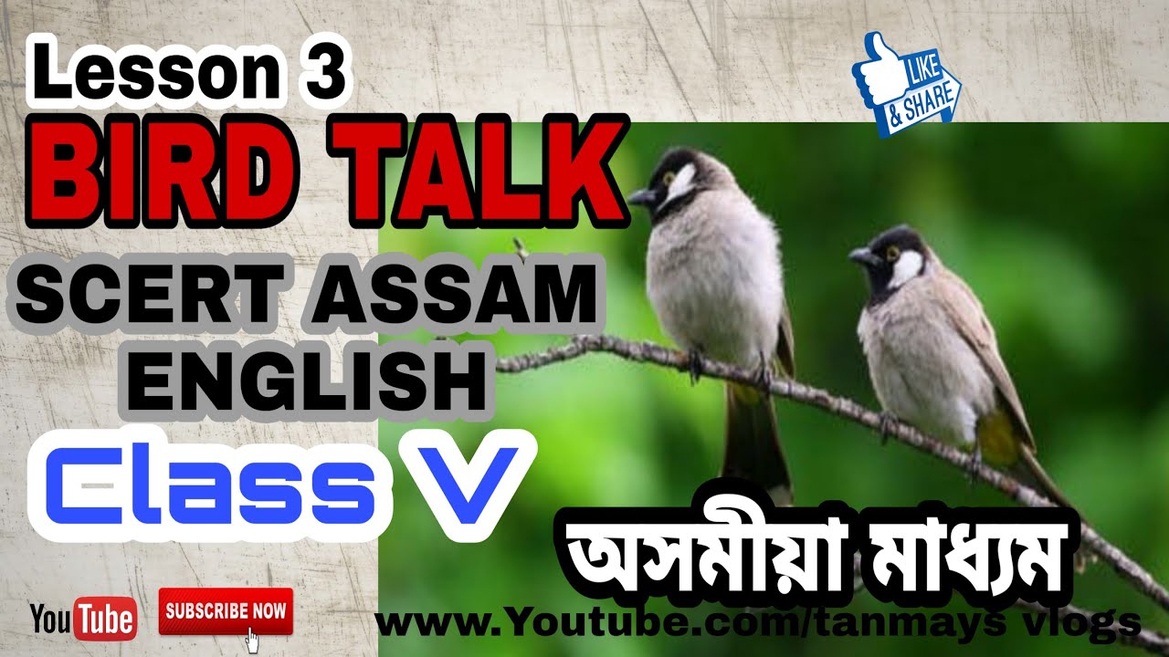 Bird Talk Poem Recitation Class 5 English Explanation In Assamese bird-talk-poem-recitation-class-5-english-explanation-in-assamese