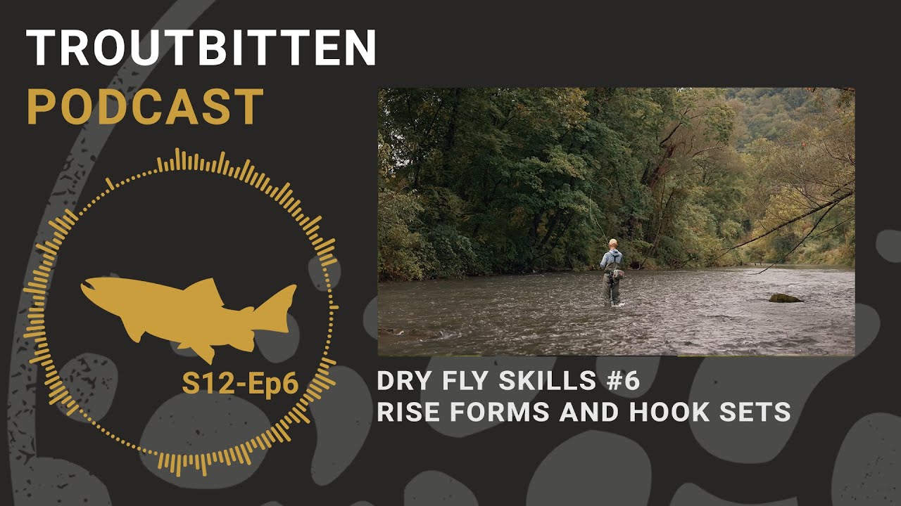 Rise Forms and Hooks Sets - Dry Fly Skills Series #6 - The Troutbitten ...