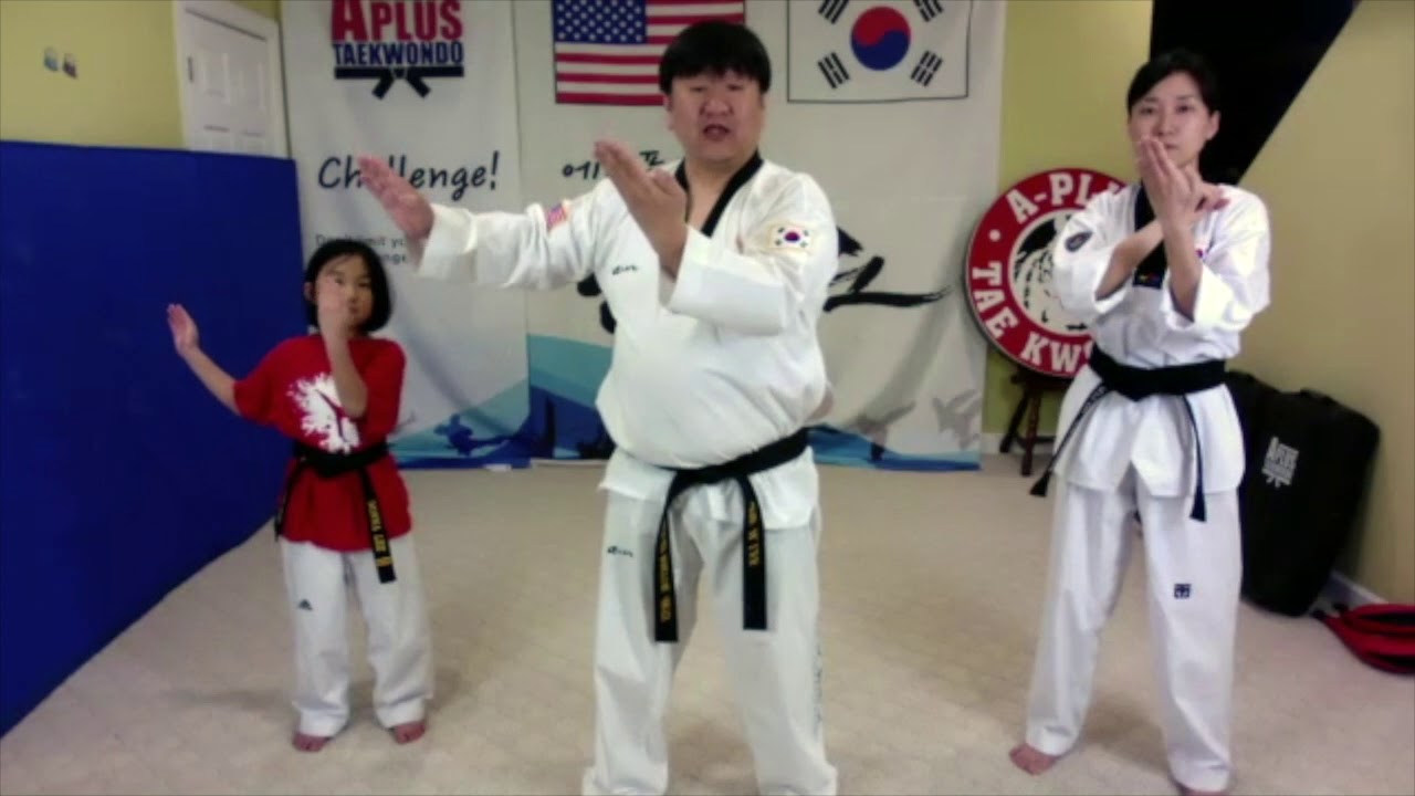 Taekwondo Live Class Video 04/08/2020 - YouTube