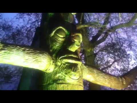 Talking tree @ winter wonderland hyde park - YouTube