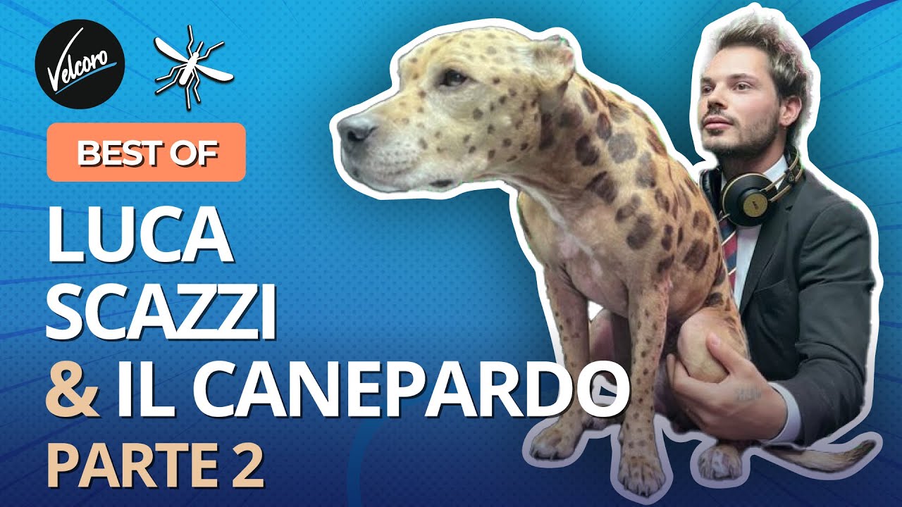 BEST OF - Luca Scazzi & Il Canepardo - Parte 2 - Speciale La Zanzara ...