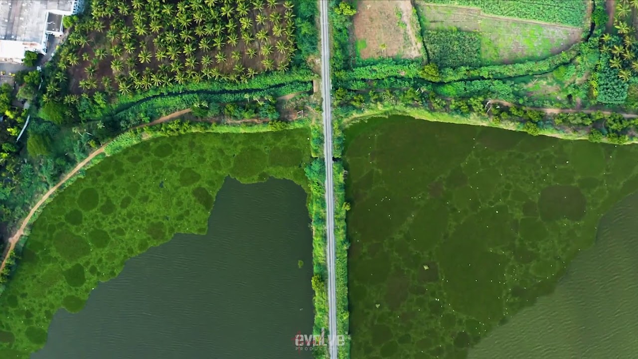 NEEL Supplies Space | Clean and safe World - YouTube