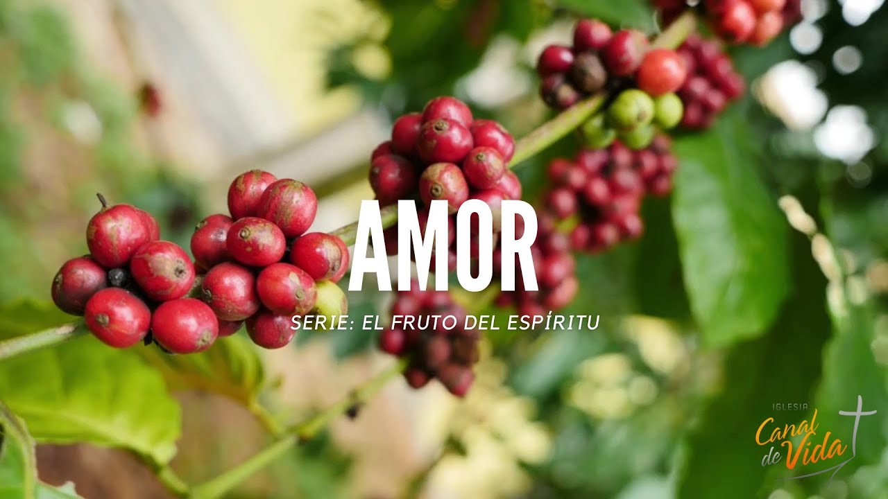 EL FRUTO DEL ESPÍRITU | Amor | 09/02/2025 - YouTube