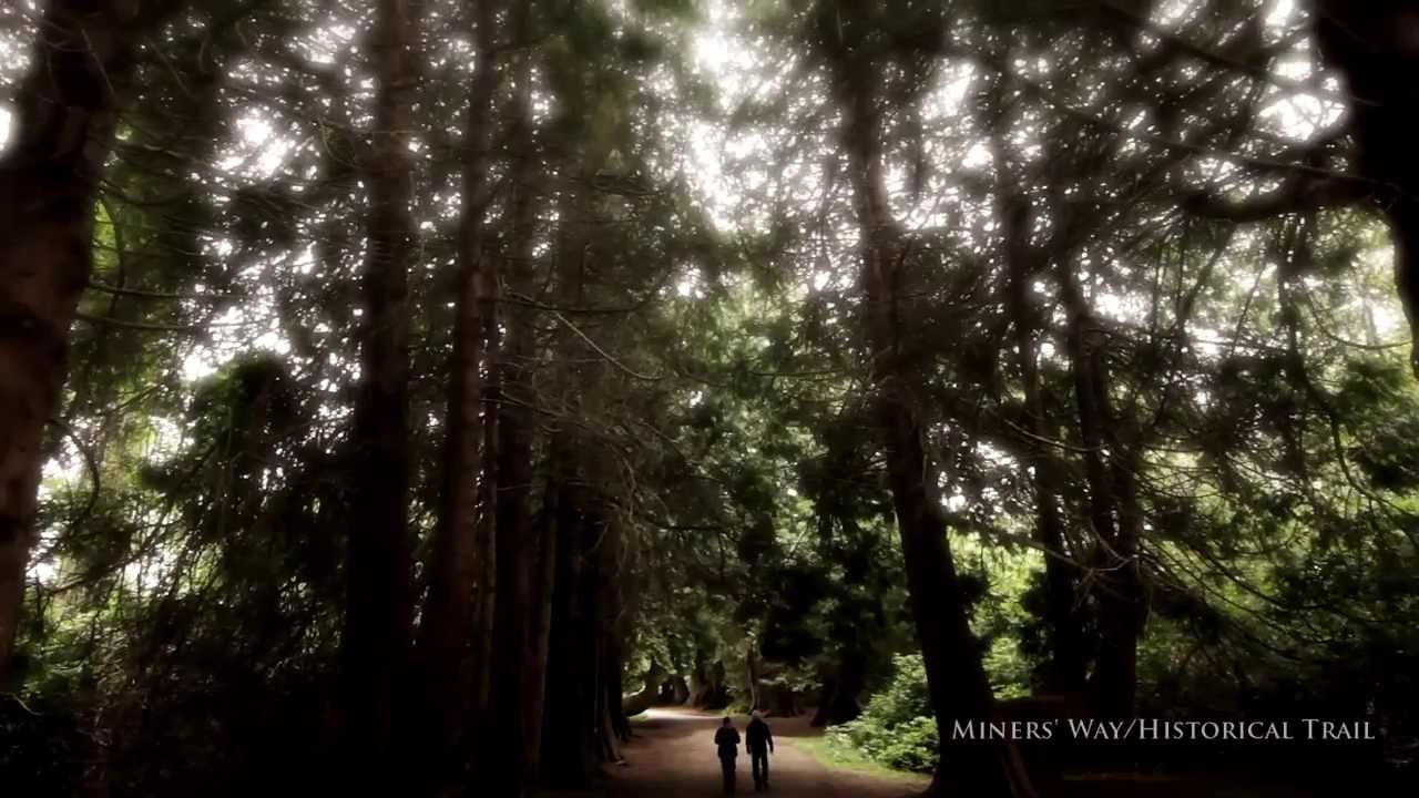 Miners' Way/Historical Trail - YouTube
