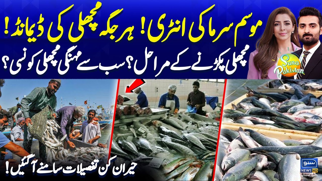 Biggest Fish Market in Pakistan | Most Expensive Fish in Market | Net ...