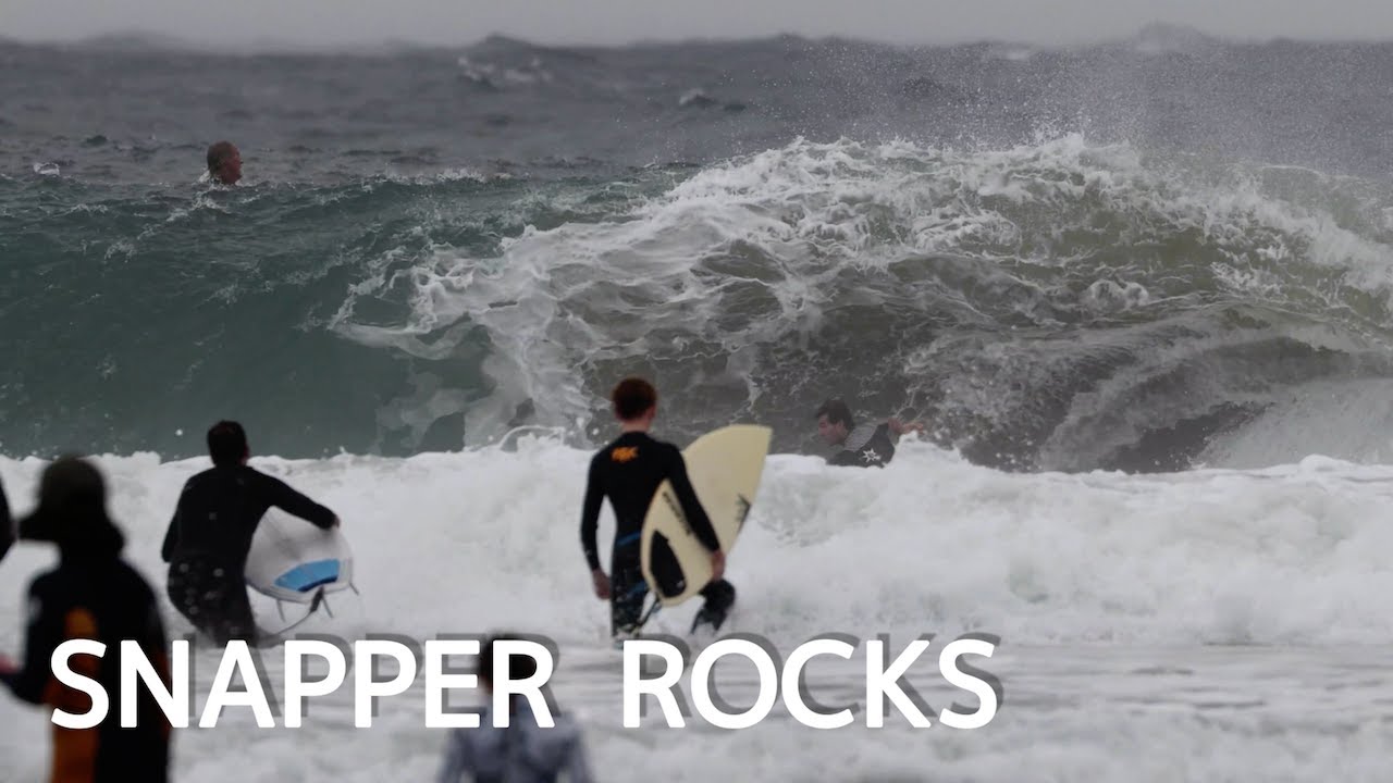 SNAPPER ROCKS 06/07/2024 - YouTube