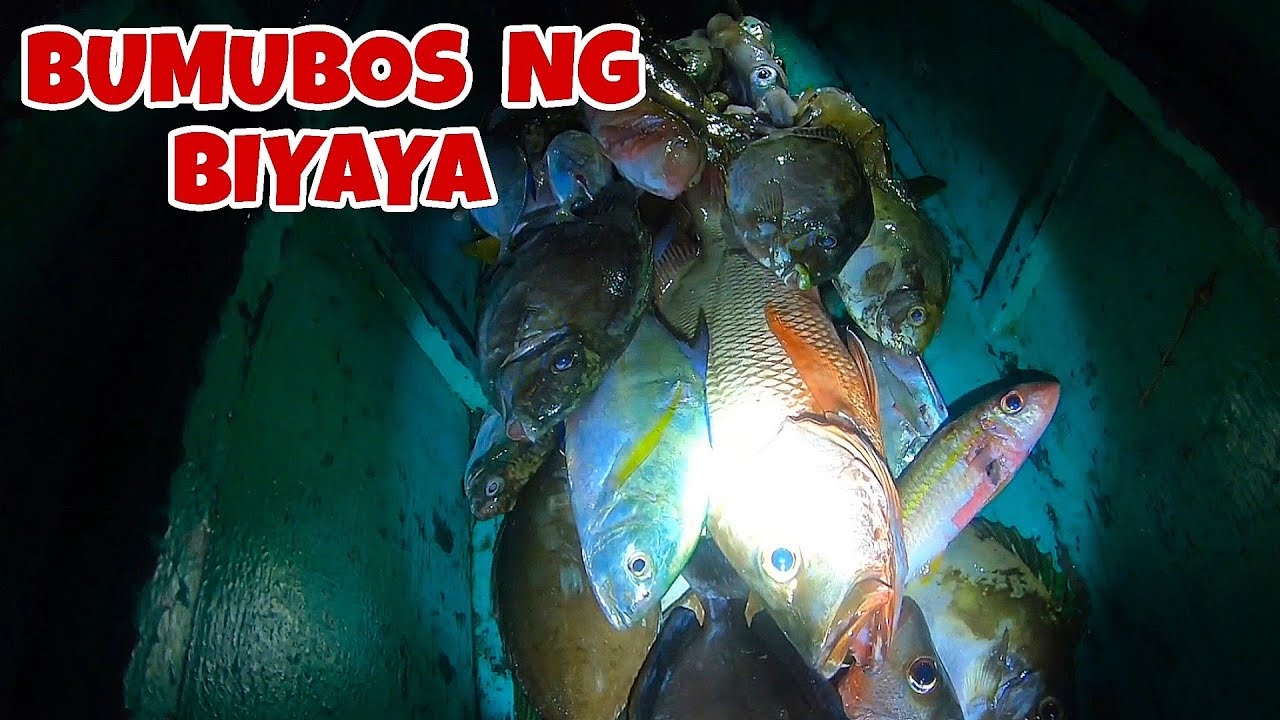 Sinalubong ako ng MALALAPAD na ISDA | Night Spearfishing - YouTube