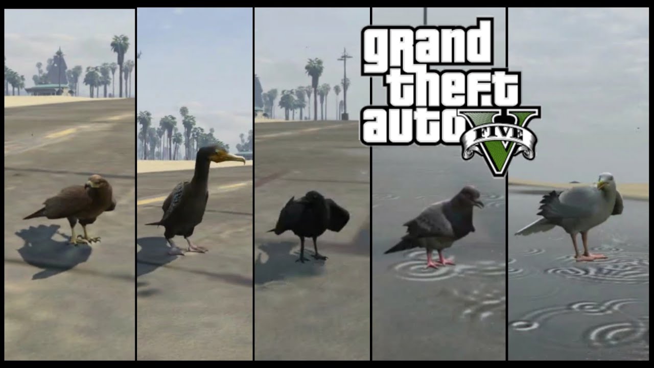 GTA 5 Birds Flying Comparison - YouTube