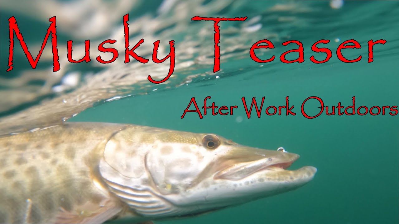 Musky Teaser - YouTube