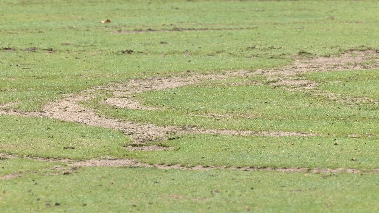 South Louisville golf course vandalized, roughly thousands in damage ...