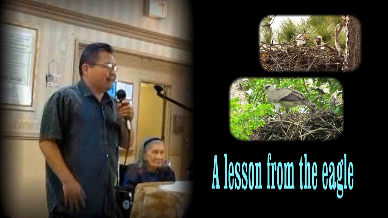 A lesson from the eagle and its eaglet - YouTube