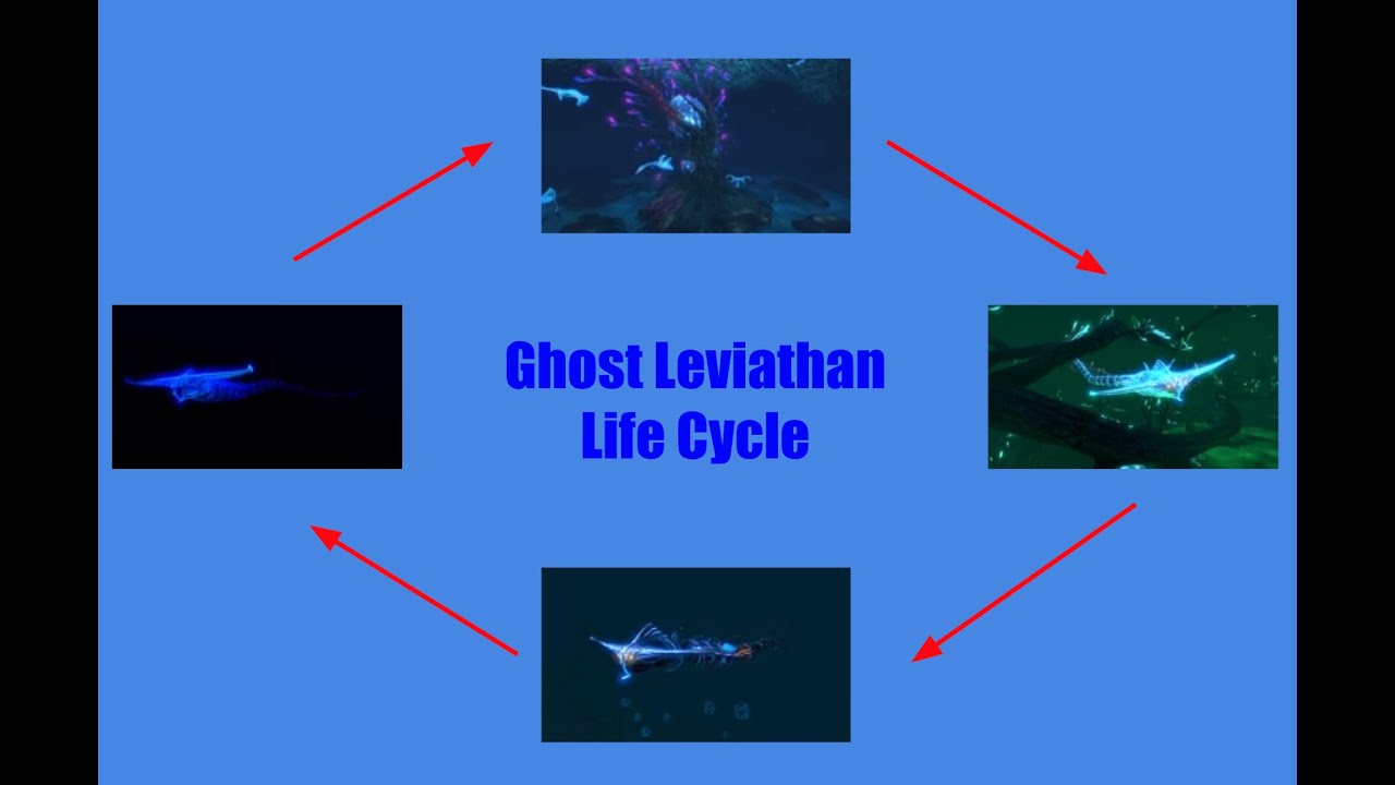The Life Cycle of Subnautica's Ghost Leviathan - YouTube