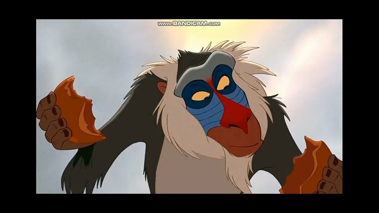 opening tangled 2011 dvd - YouTube