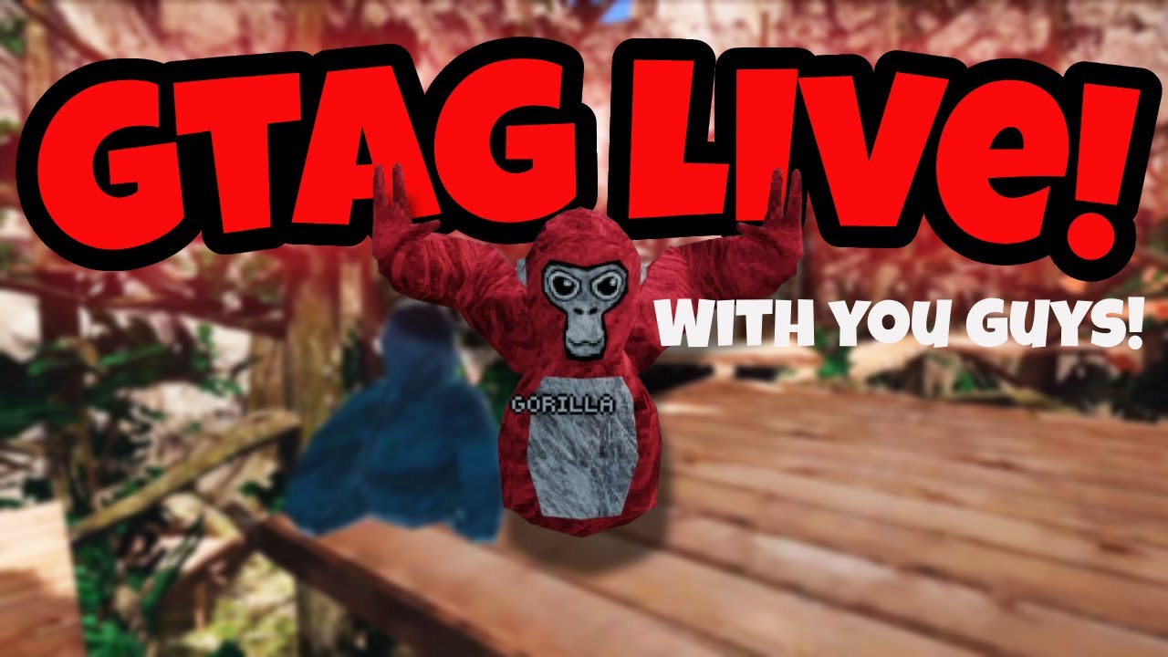 New Gtag Update Live! - YouTube