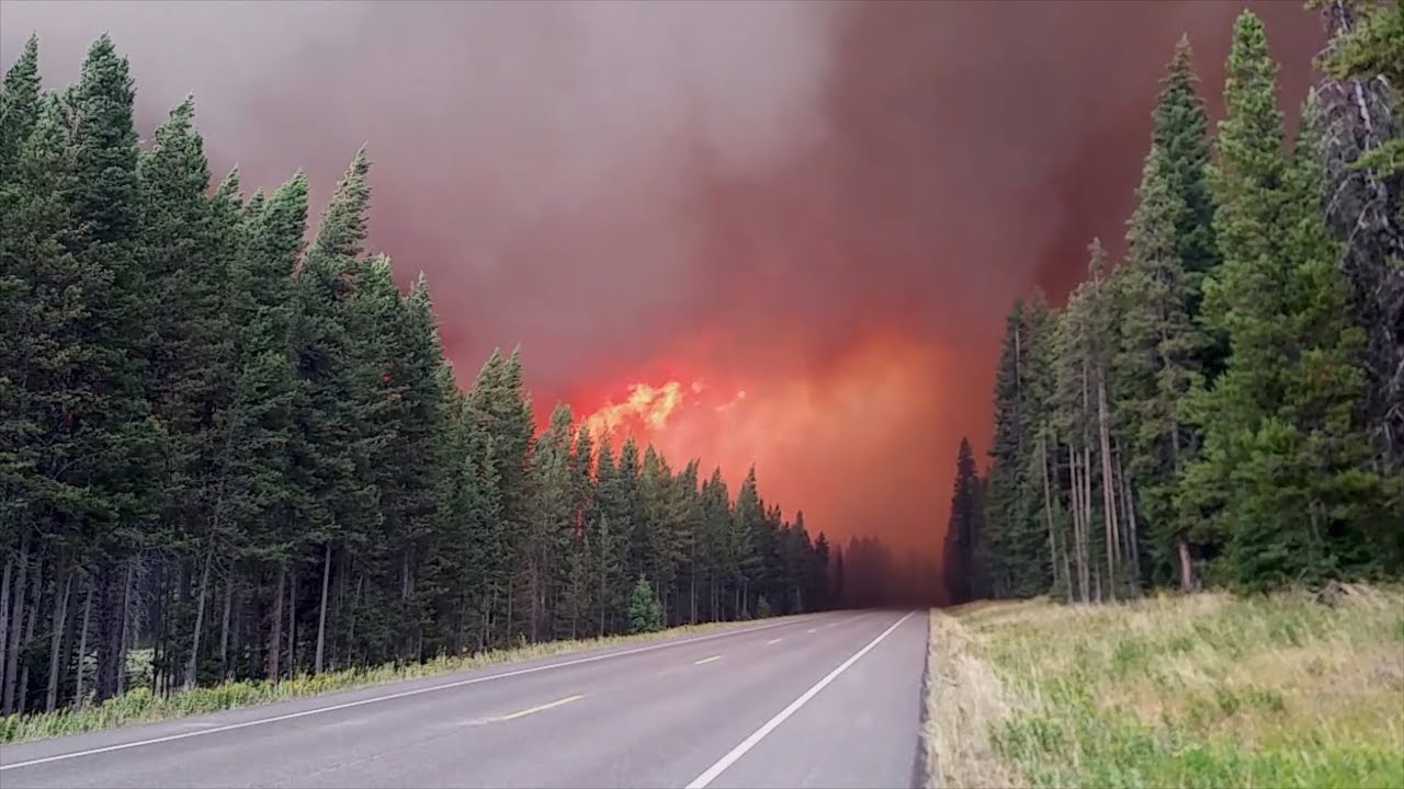 The Berry Fire - YouTube