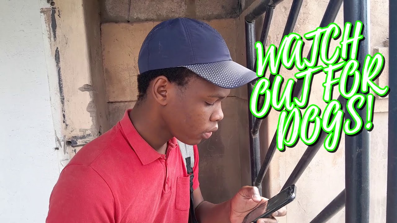 uMakhelwane - Season 2 - Watch Out For Dogs (Episode 8) - YouTube