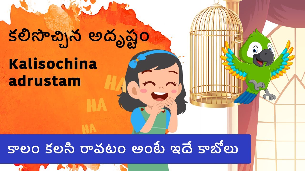 కలిసొచ్చిన అదృష్టం | Kalisochina adrustam | tooneega kids - YouTube