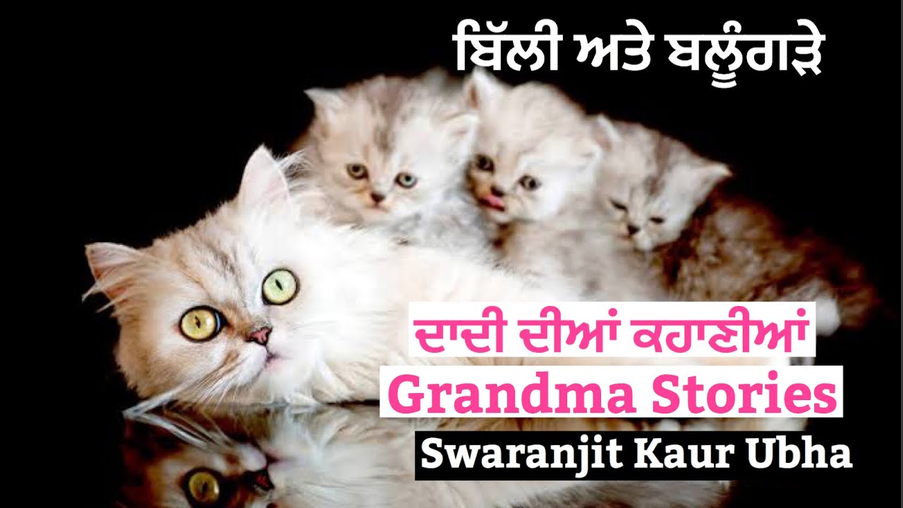 Grandma Stories-1 | ਦਾਦੀ ਦੀਆਂ ਕਹਾਣੀਆਂ | ਬਿੱਲੀ ਅਤੇ ਬਲੂੰਗੜੇ | Stories for ...